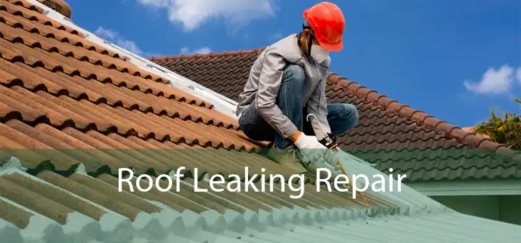 Roof Leaking Repair - Wood Roof Repair